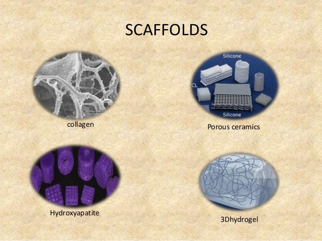 Stem cells for dental tissue engineering