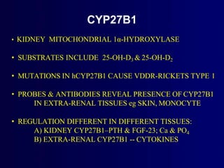 Current Knowledge of Vitamin D Metabolism and Function by Dr Glenville ...
