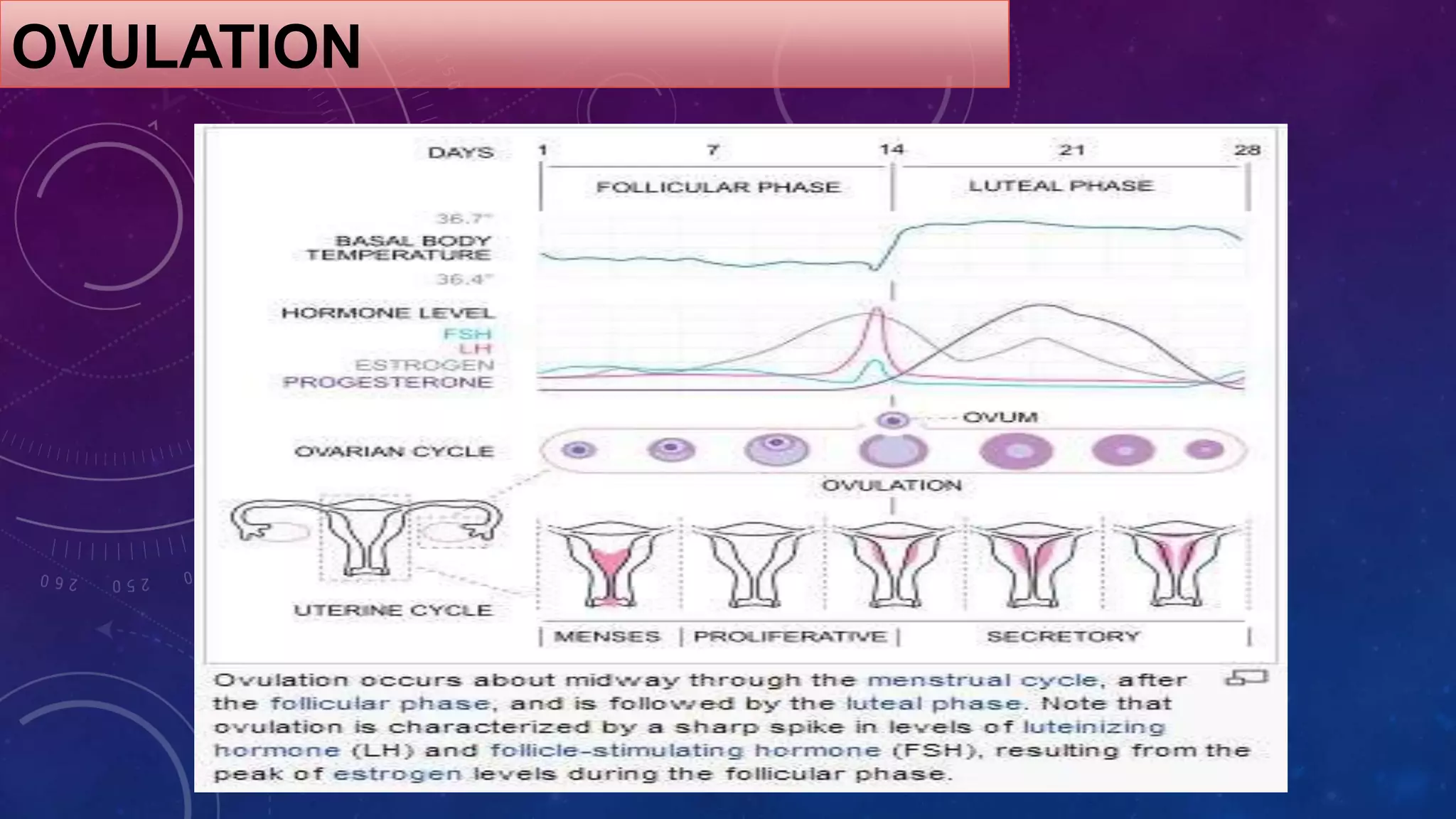 Current Management of Anovulatory Infertility | PPTX