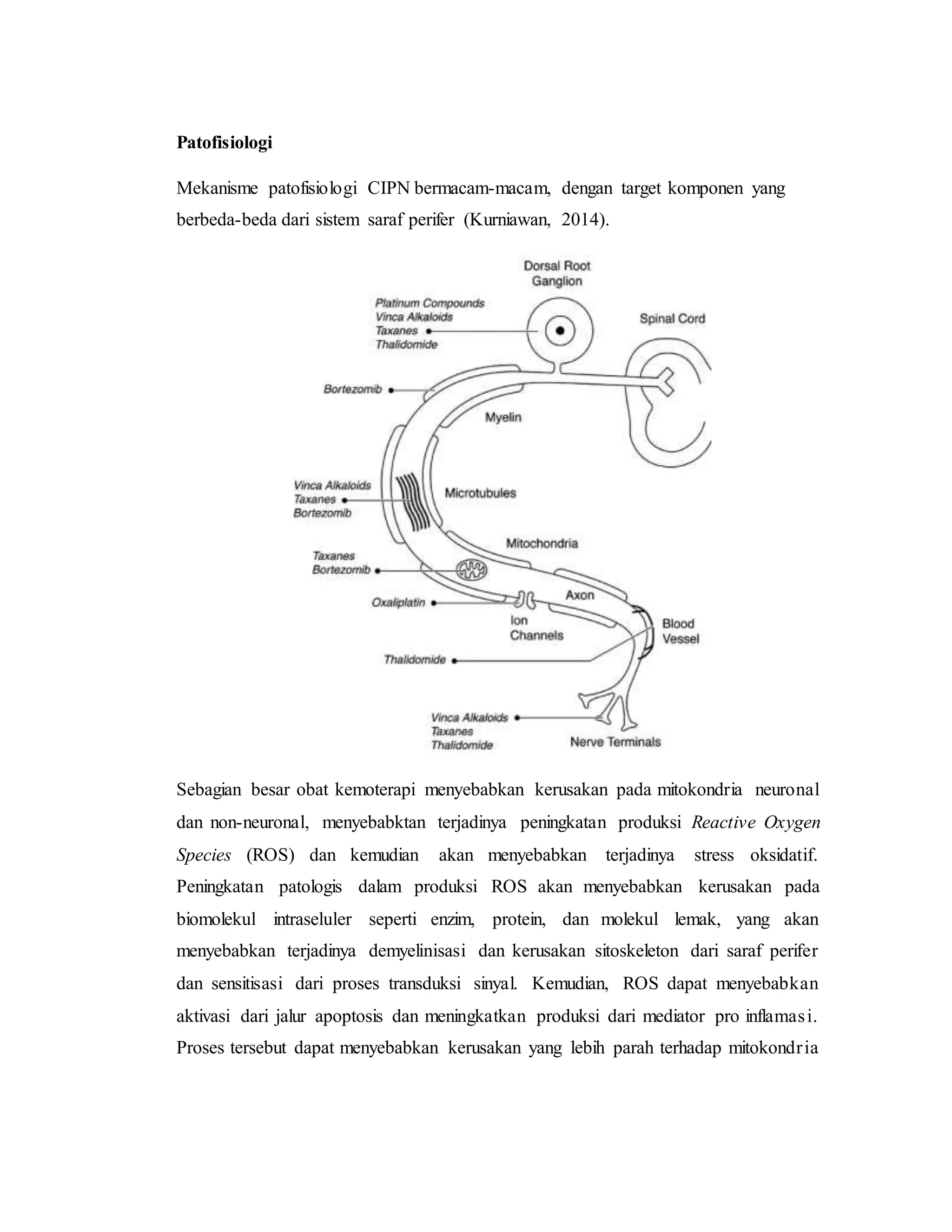 Current management of chemotherapy induced polyneuropathy | DOCX