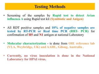 Current management status of highly pathogeni8c avian influenza (hpai ...