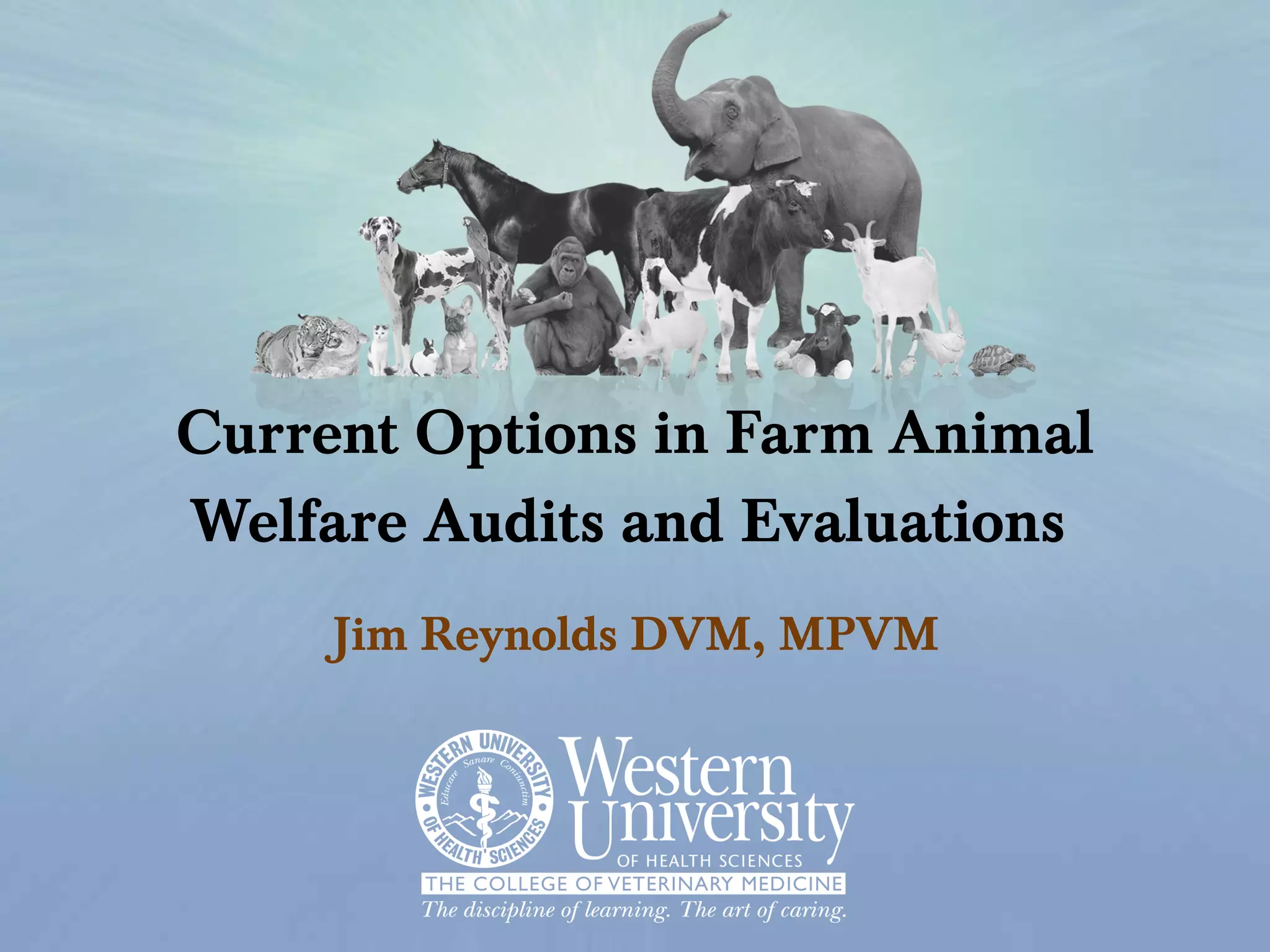Current Options in Farm Animal Welfare Audits - Jim Reynolds | PPT