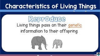 Current pdf Slideshow Characteristics of Living Things.pdf