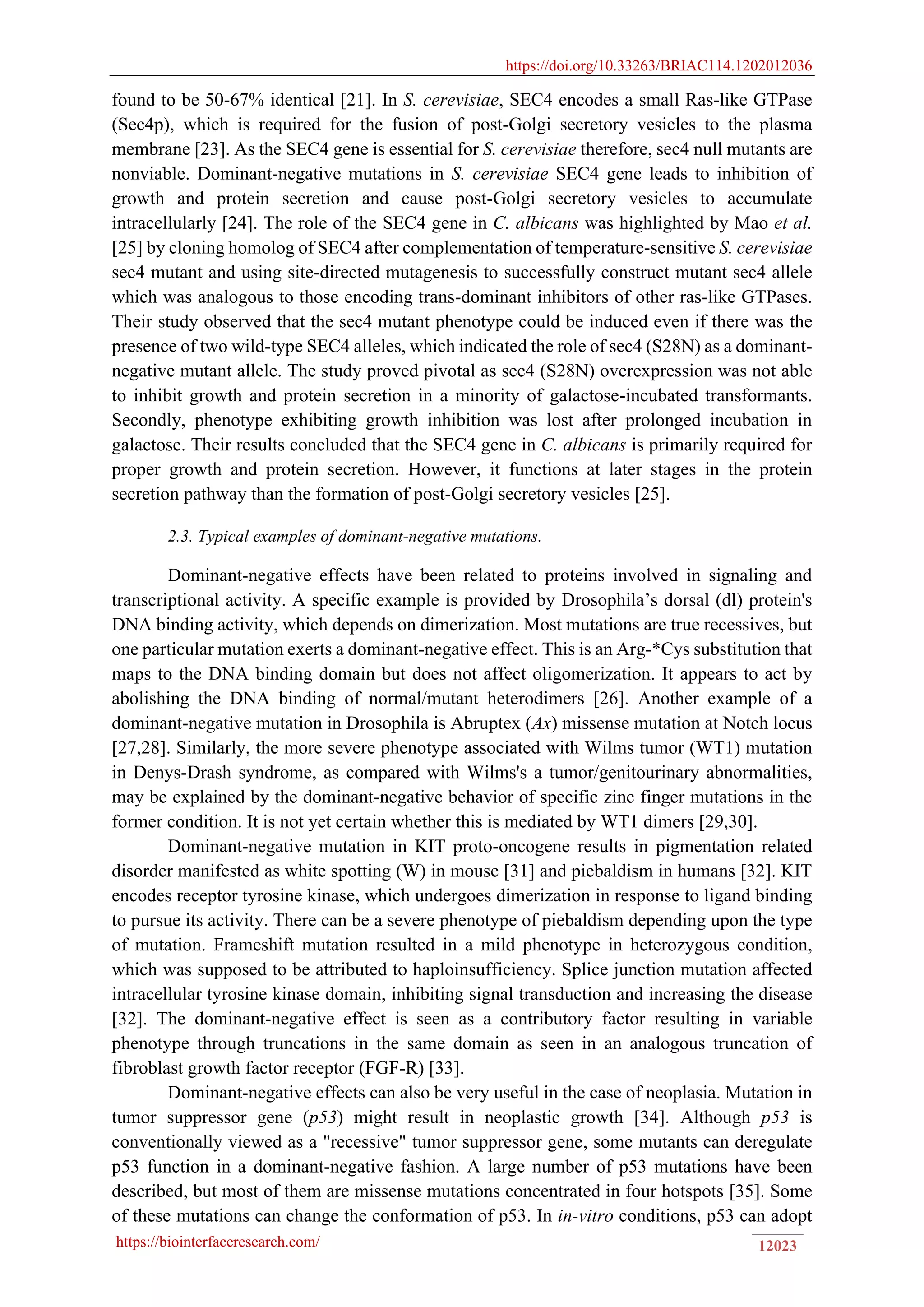 Current Perspective on Dominant Negative Mutations: Trends, Scope and ...