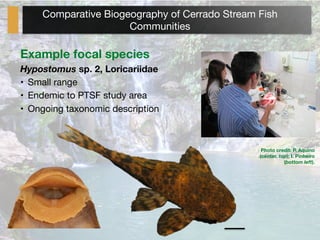 Project Overview: Comparative Phylogeography and Phylogenetic Community ...