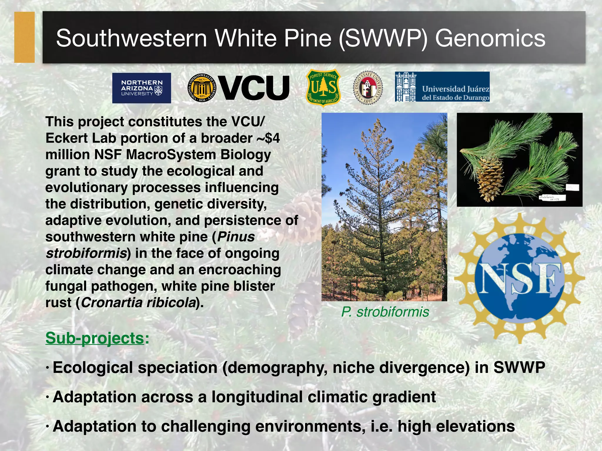 Project Overview: Ecological & Evolutionary Genetics of Southwestern ...