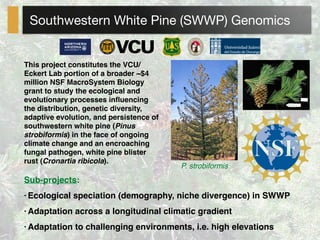 Project Overview: Ecological & Evolutionary Genetics of Southwestern ...