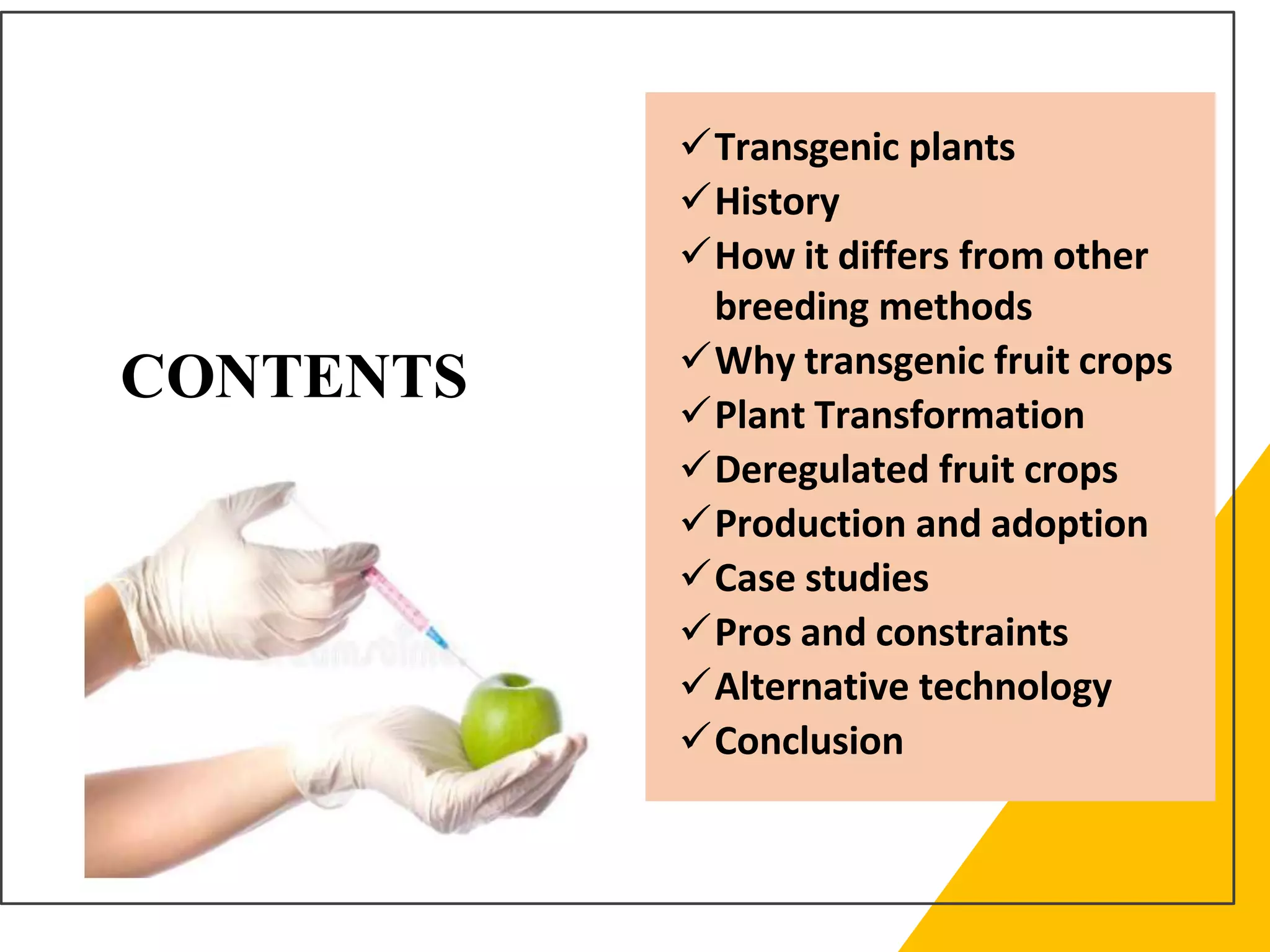 Current Scenario of Transgenic Fruit.pptx