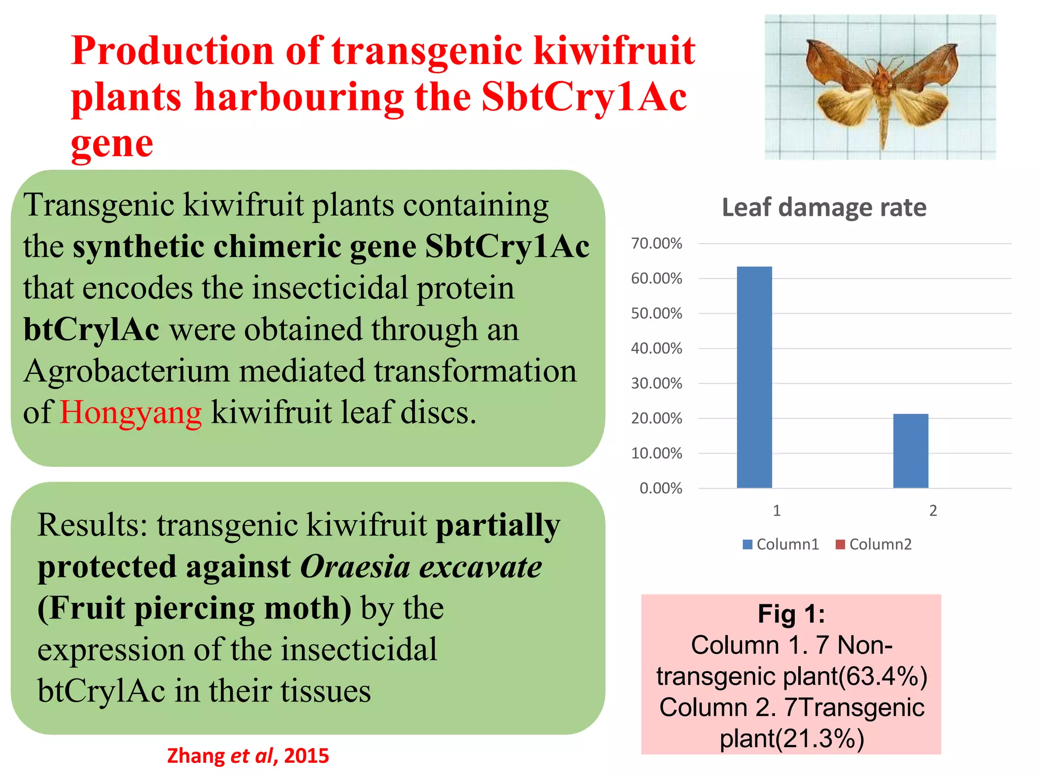 Current Scenario of Transgenic Fruit.pptx