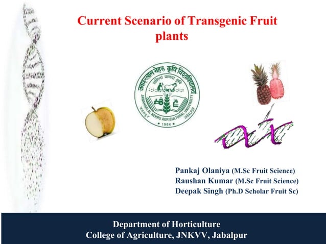 Current Scenario of Transgenic Fruit.pptx | Agriculture | Industries