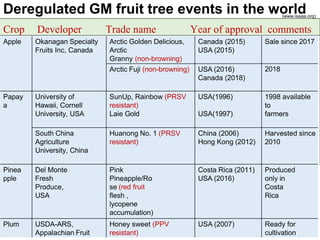 Current Scenario of Transgenic Fruit.pptx