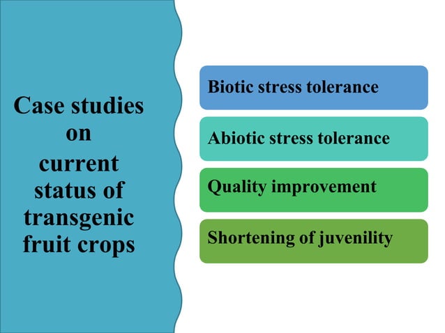 Current Scenario of Transgenic Fruit.pptx | Agriculture | Industries