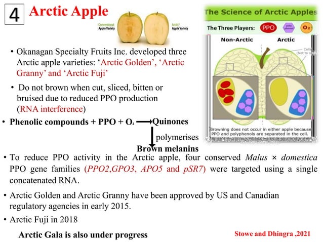 Current Scenario of Transgenic Fruit.pptx | Agriculture | Industries
