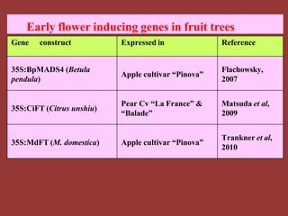 Current Scenario of Transgenic Fruit.pptx