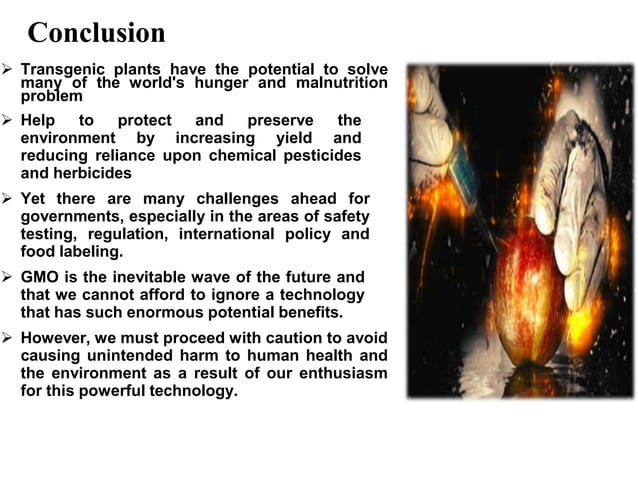 Current Scenario of Transgenic Fruit.pptx | Agriculture | Industries