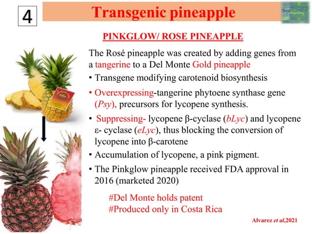 Current Scenario of Transgenic Fruit.pptx | Agriculture | Industries