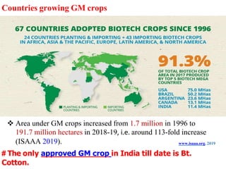 Current Scenario of Transgenic Fruit.pptx