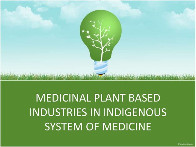 CURRENT SCENERIO OF PLANT BASED FORMULATION INDUSTRY INSTITUTION.pptx