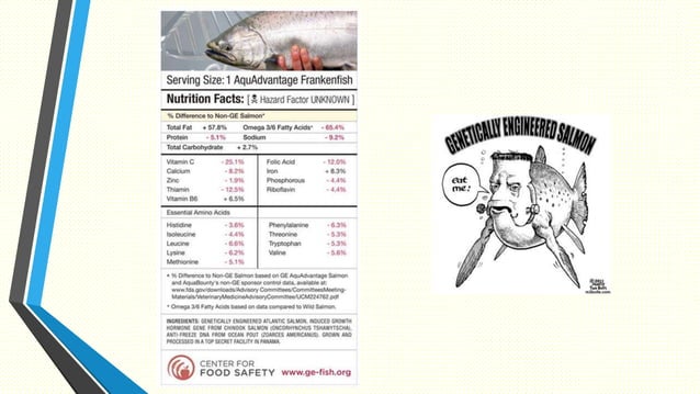 Current status of transgenic salmon 2016 | PPTX
