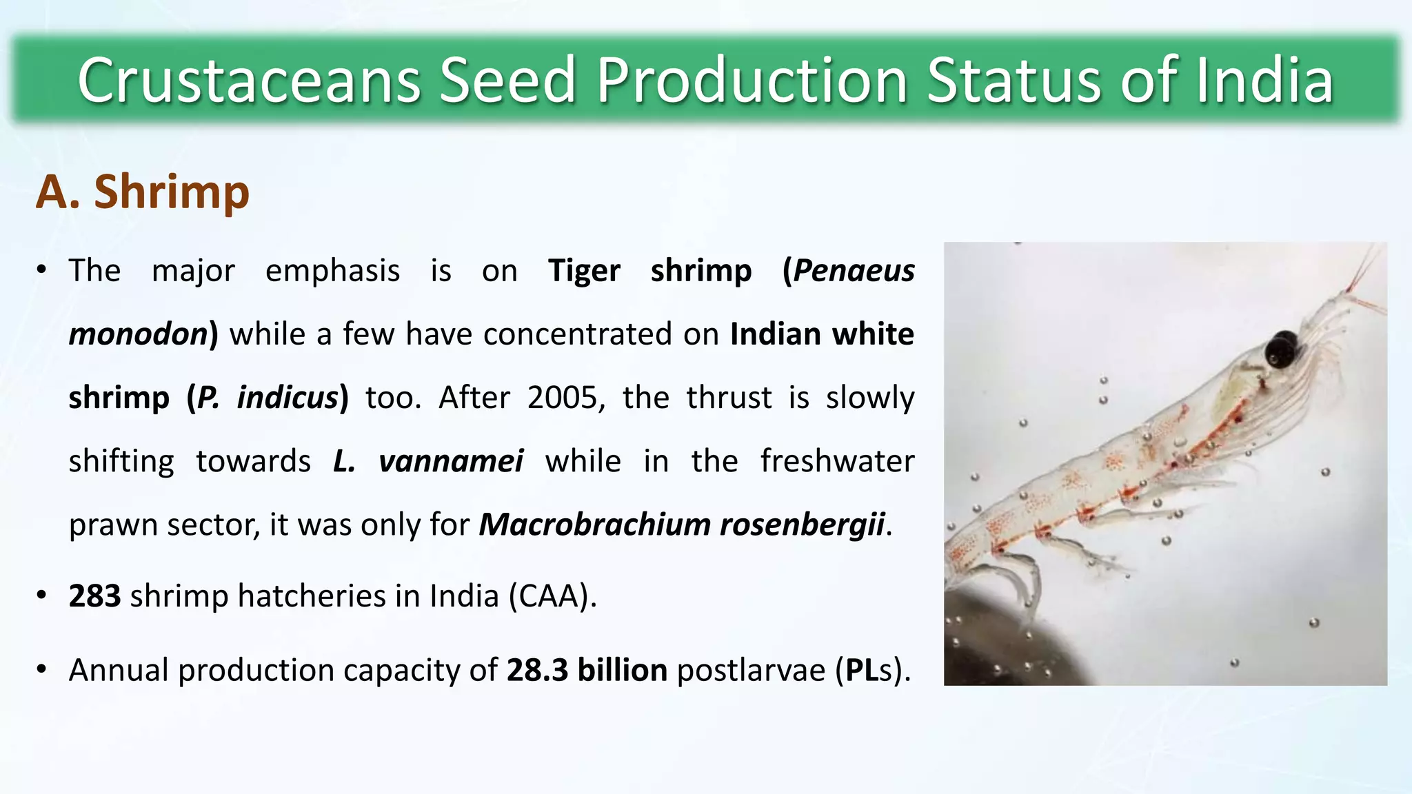 Current Status; Problems and Prospects for Seed Production of ...