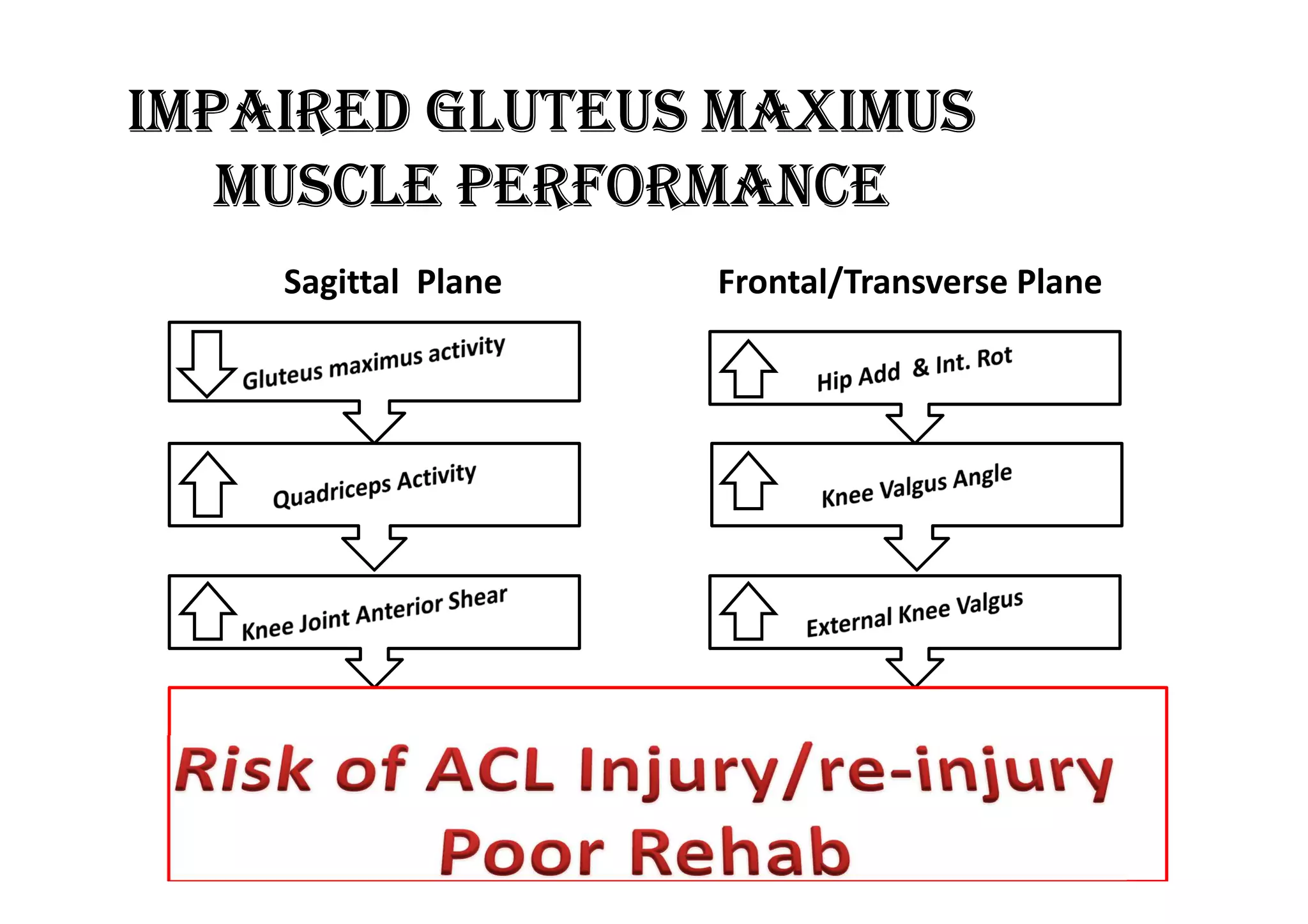 ACL REHABILITATION -FUNCTIONAL APPROACH | PDF