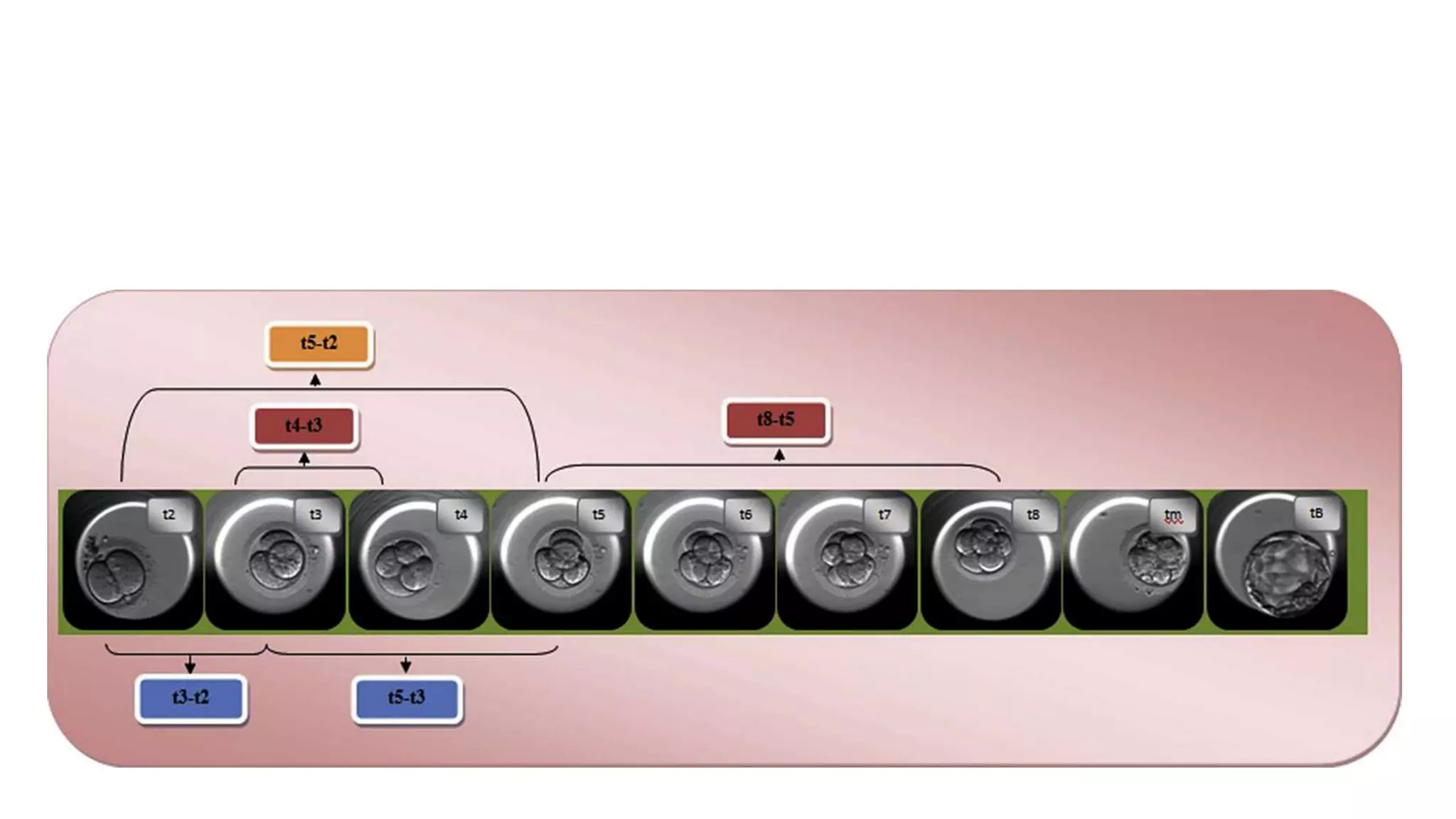 Current trends in embryology- role of Time-lapse embryo monitoring .pptx