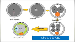 Current trends in embryology- role of Time-lapse embryo monitoring .pptx