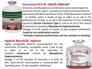 Current updates of swine mycoplasma vaccines | PPT