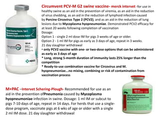 Current updates of swine mycoplasma vaccines | PPT