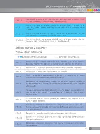 CURRICULO-PREPARATORIA.pdf