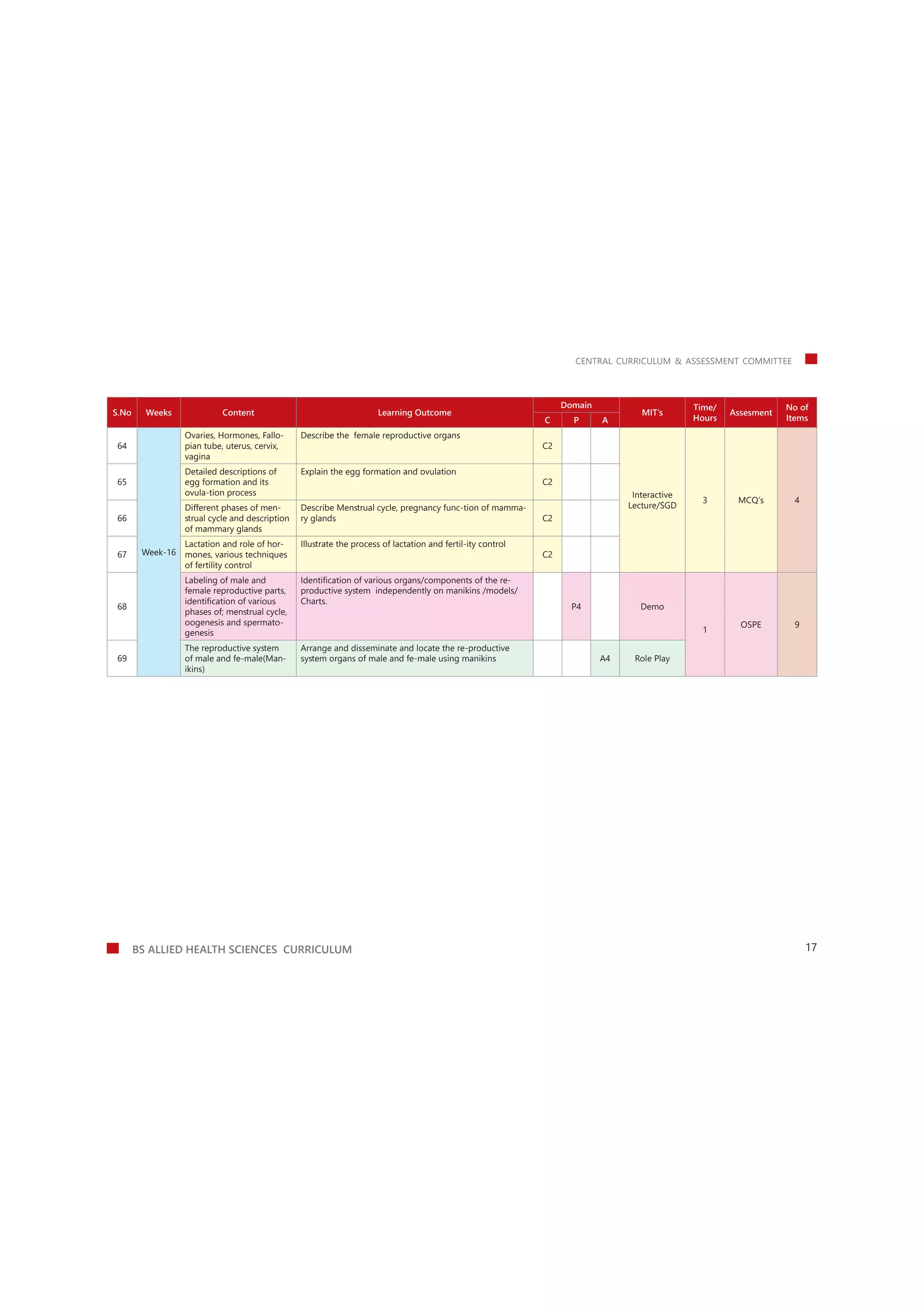 Curriculum_.pdf