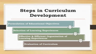 Phases in curriculum development and development | PPTX | Primary ...