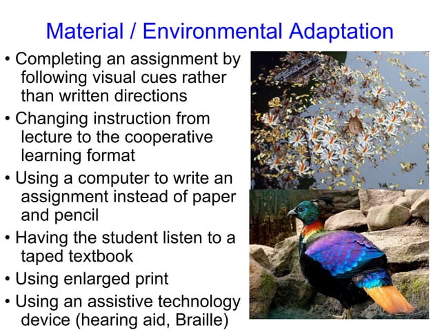Curriculum Adaptation.ppt | Special Education | Education