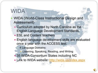 Curriculum analysis & critique presentation | PPTX | Education