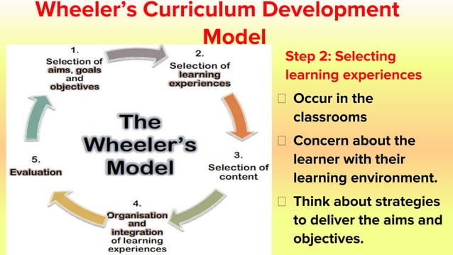 Curriculum development Process Models.pptx | Primary Education | Education