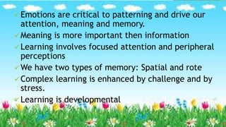 Curriculum development repport | PPTX
