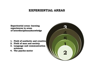 Curriculum early education for children | PPTX