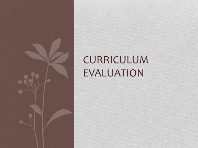 Curriculum evaluation (1) | PPTX