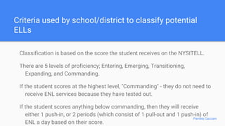 Curriculum investigation #2 | PPT | Free Download