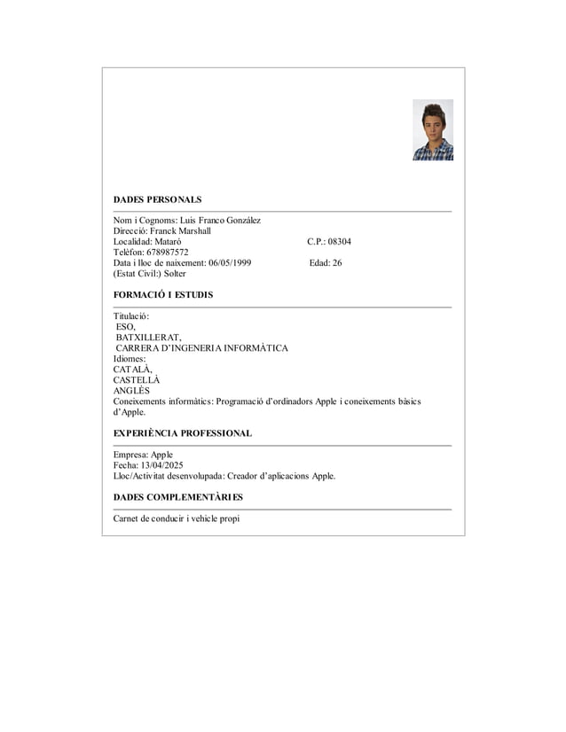 Curriculum Luis Franco | PDF