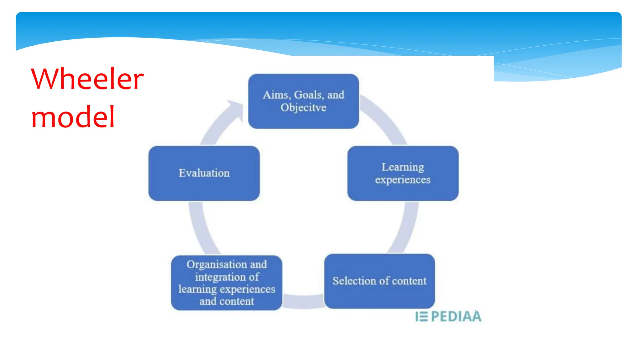 curriculum models -lecture [Autosaved].pptx