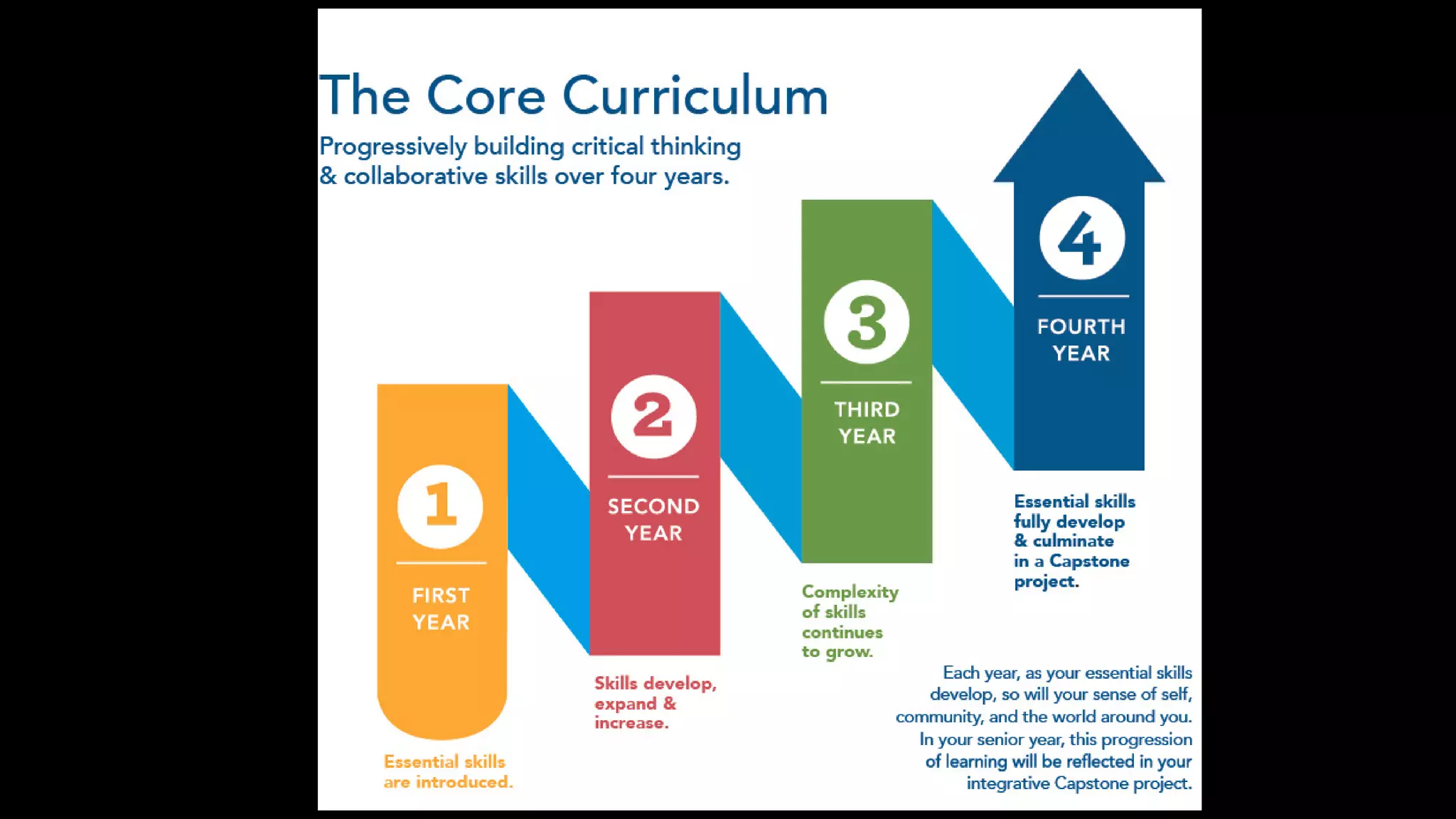 Curriculum Organisation.pdf