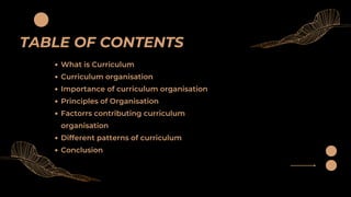 Curriculum Organisation.pdf