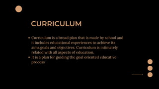 Curriculum Organisation.pdf