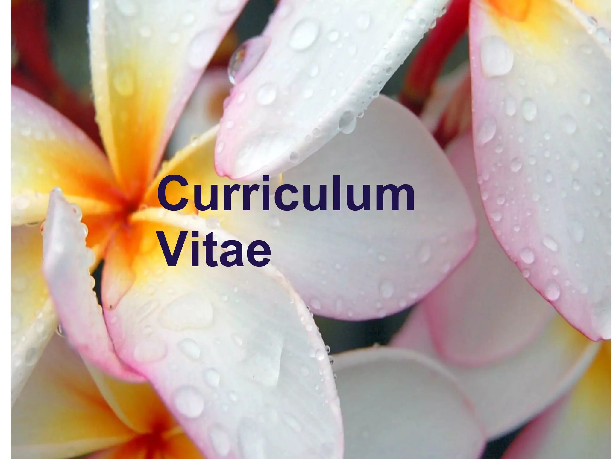 Curriculum Vitae | PPT