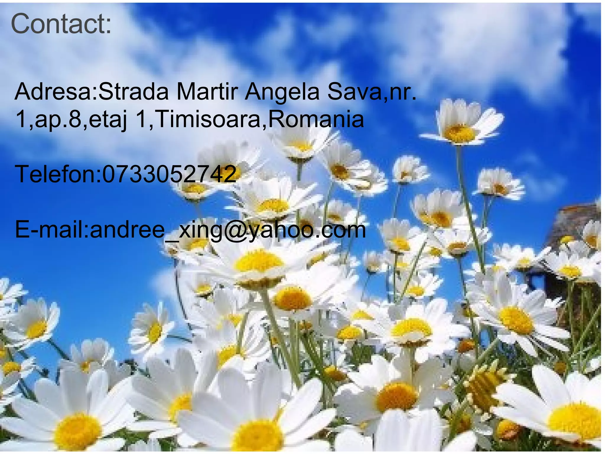 Curriculum Vitae | PPT