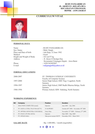 Curriculum vitae | PDF
