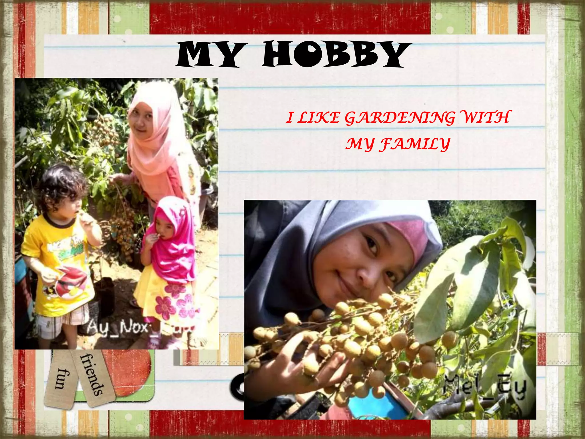 Curriculum vitae | PPT