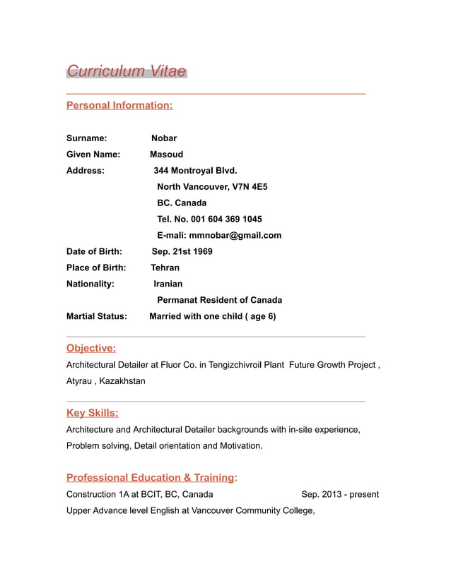 Curriculum vitae | PDF