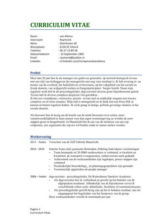 Curriculum vitae | PDF